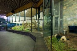 Zoo buildings: zoological architecture designs - e-architect