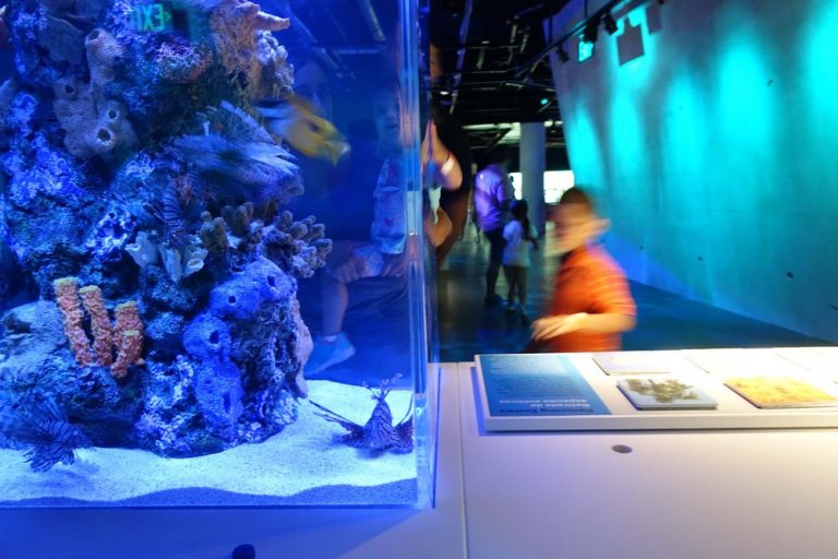 Miami Museum of Science Florida: Grimshaw - e-architect