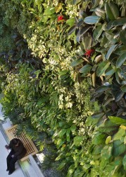 Living Wall Biofilter Toronto, Ontario - e-architect