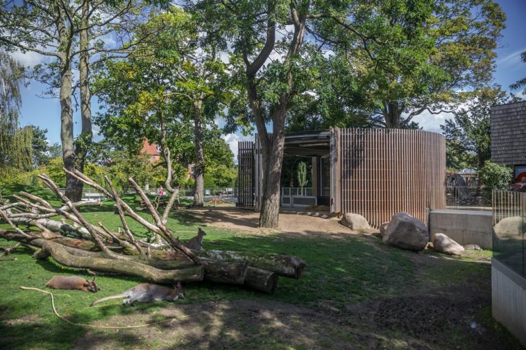 House for Tasmanian Kangaroos, Copenhagen Zoo – e-architect