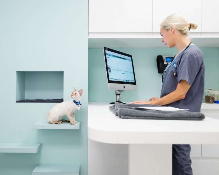 The London Cat Clinic in Bermondsey, Southwark - e-architect