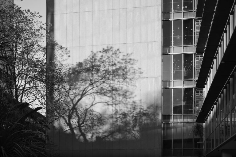 555 Collins Street Office Building, Melbourne - e-architect