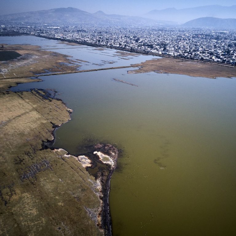 PRIMORDIAL Exhibition in Mexico City - e-architect