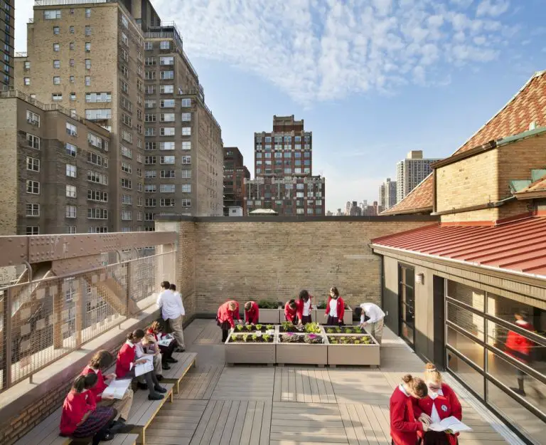 Roof-Top School in New York City, USA - e-architect