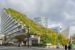 ACROS Centre Fukuoka building: Emilio Ambasz - e-architect