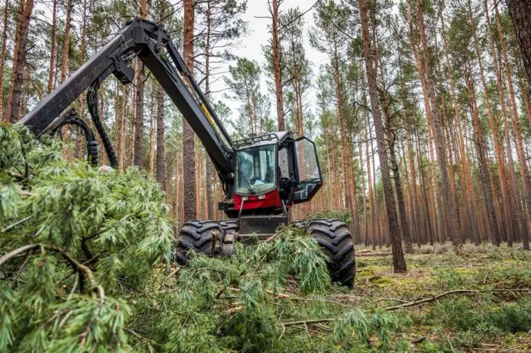 What are forestry machines, woodland logging tools - e-architect