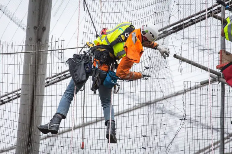 Snowdon Aviary Restoration, London Zoo - e-architect