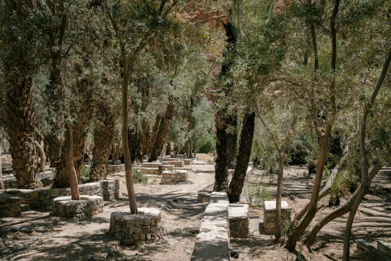Issy Valley Improvement, Aït Mansour, Morocco - e-architect