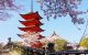 Japanese temple architecture guide - e-architect