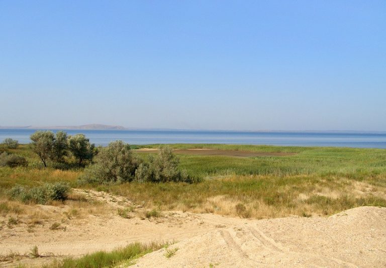 Anapa Family Resort on the Black Sea winner - e-architect