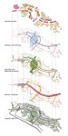 Bintaro Jaya West District in South Tangerang - e-architect