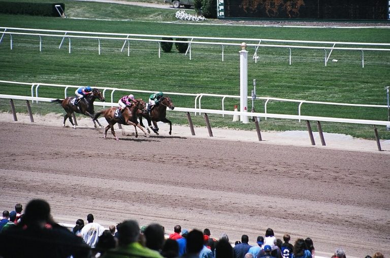 Horse racing architecture: best race tracks - e-architect