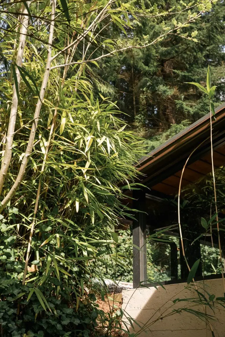 Ranger House, North Vancouver by A.J. Capling - e-architect