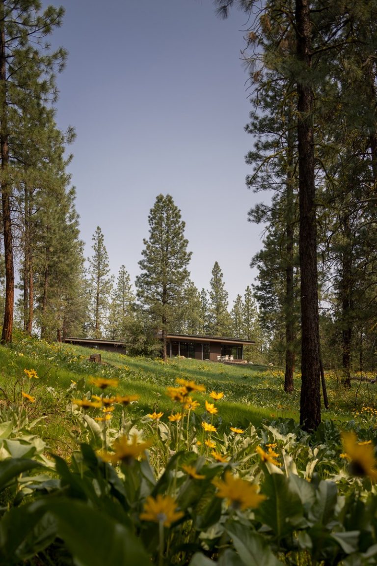 Wildflower Home, Washington, USA - e-architect