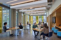 Sister Lillian Murphy Community, San Francisco, USA - e-architect