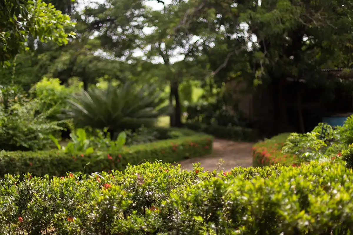 Proper maintenance increases the lifespan of your landscape - e-architect